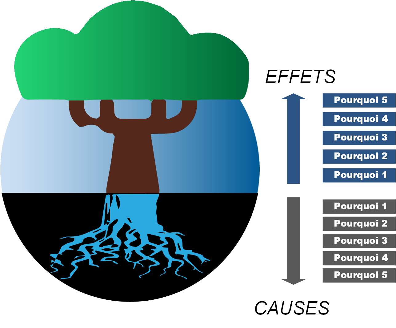 Les 5 pourquoi - Définition / Outil / Technique